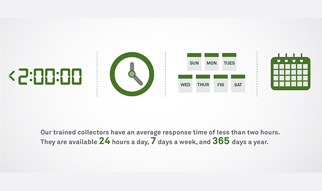 Drug test collections when you need them | Quest Diagnostics